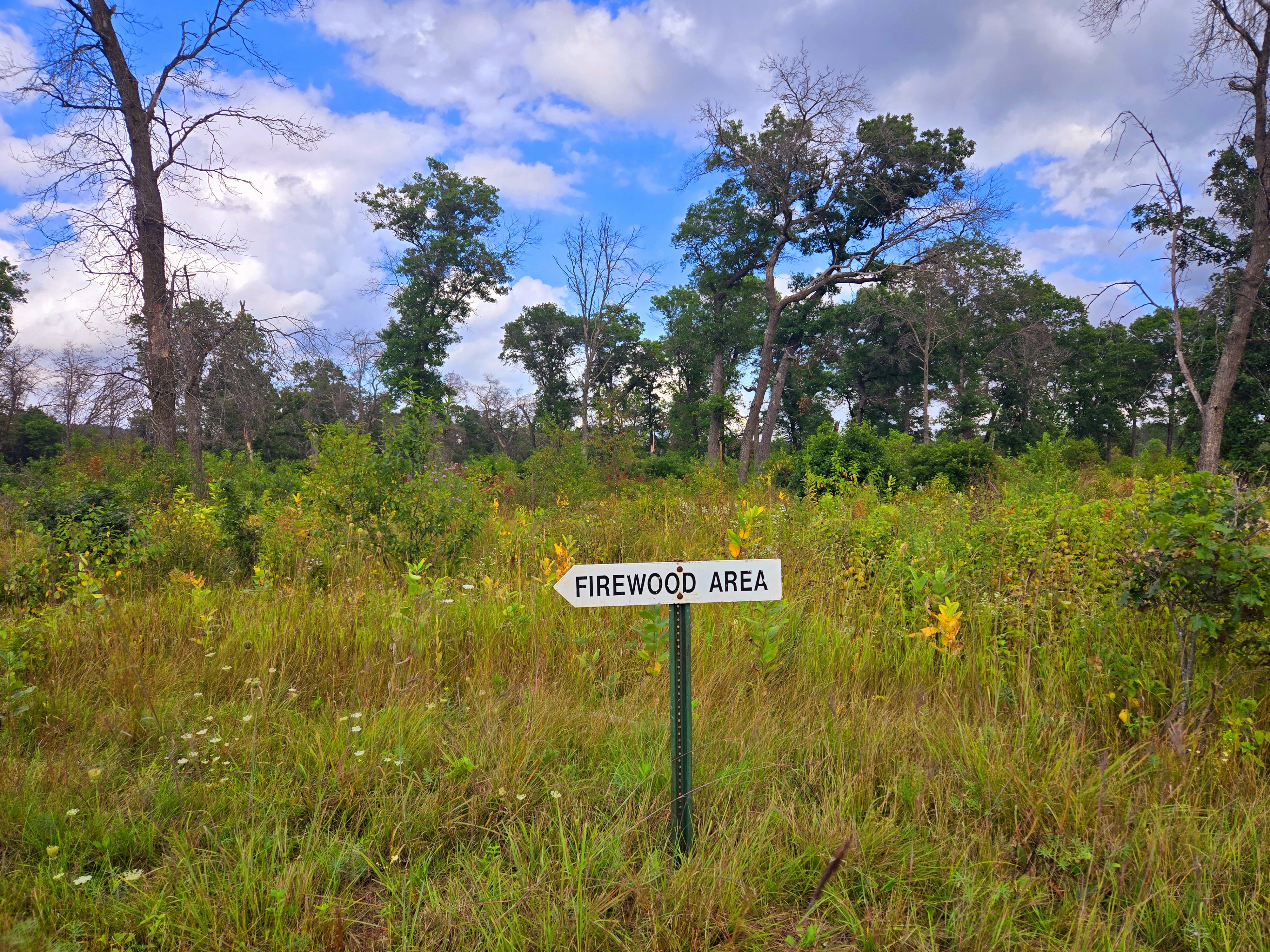 Firewood Forest Products Fort McCoy iSportsman